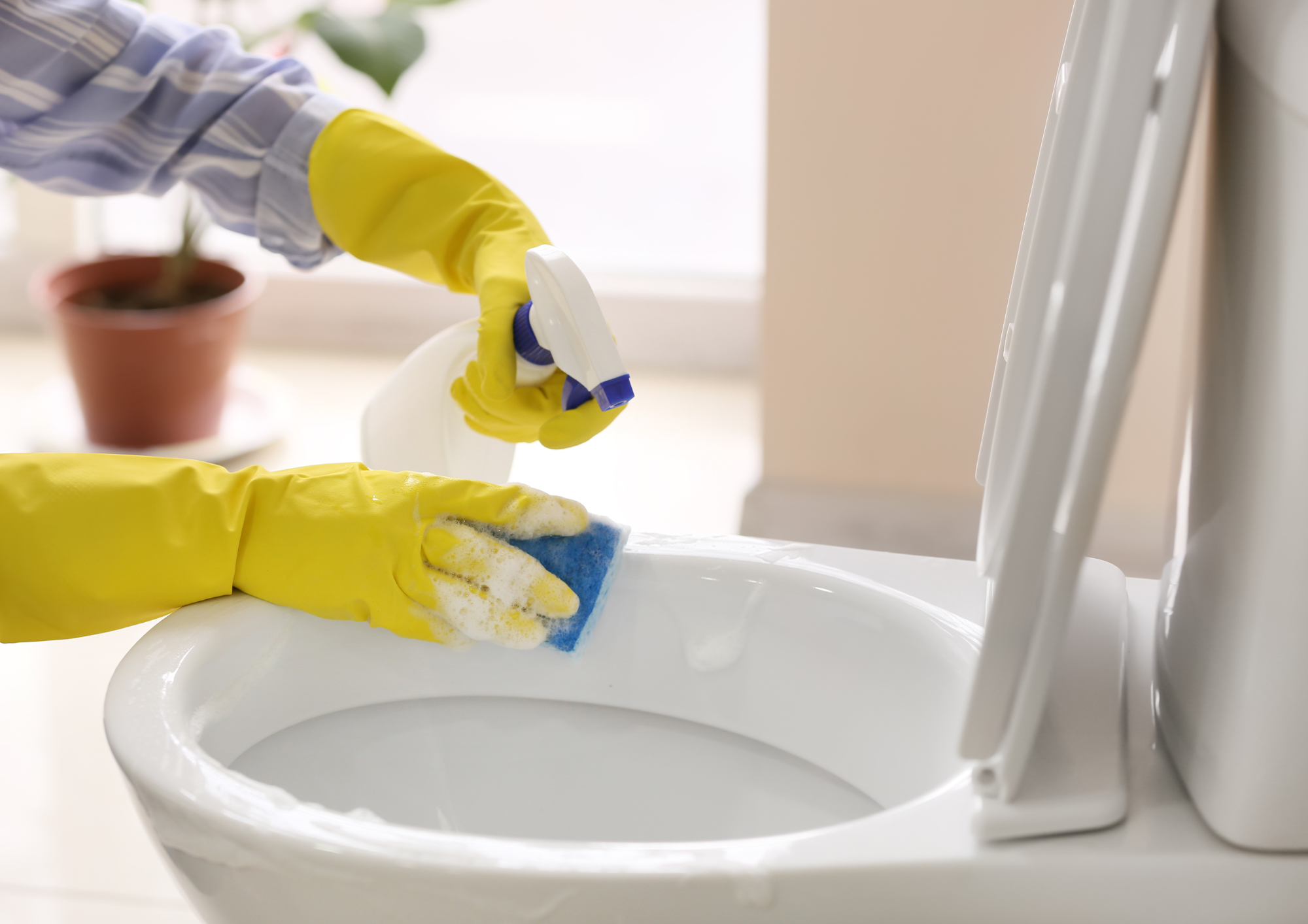 The Ultimate Guide to Eco-Friendly Toilet Bowl Cleaning - Going GreenHouse